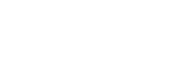 Home | Discus Systems plc